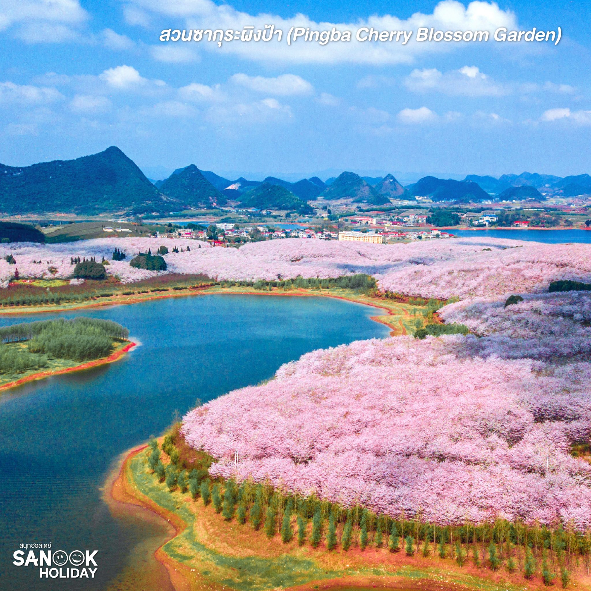 7 สถานที่ชมซากุระสวยๆ ในเมืองจีน - Sanook Holiday